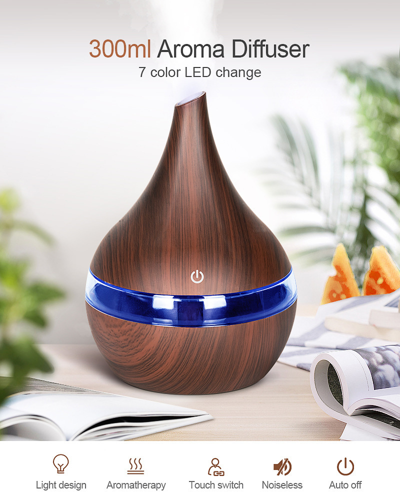 Diffuseur d'huiles essentielles à LED - Globe 109